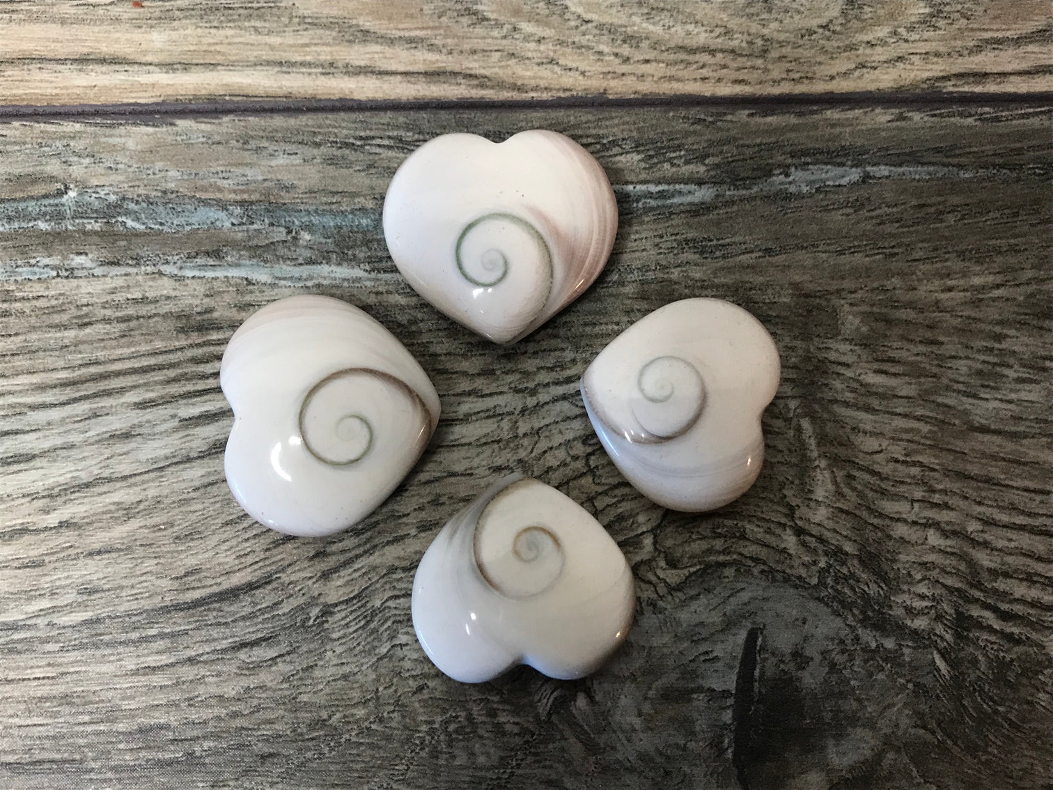 Shiva Eye Shell Heart – Rockmystic